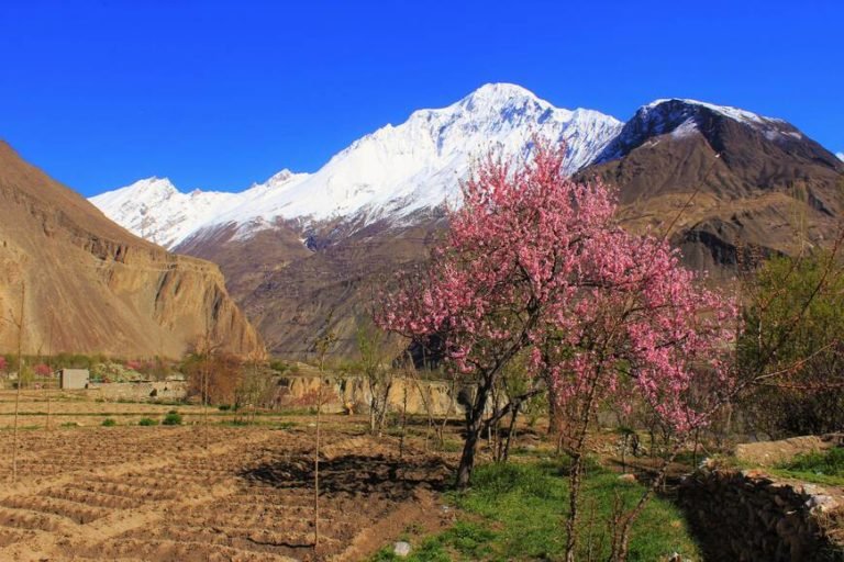 The Best Family Vacation Spots in Pakistan 2024 - Discover Pakistan ...